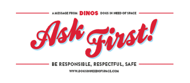 Be Responsible, Respectful, Safe: Ask First! | notes from a dog walker