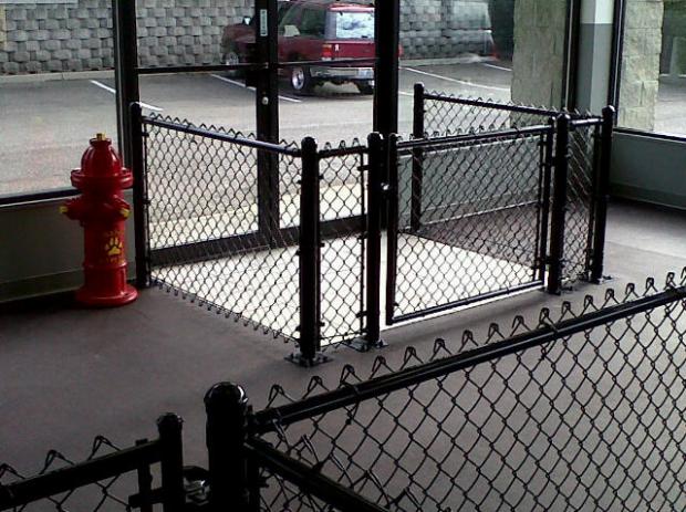 Peace in the Yard: 7 Ways To Dog Proof Your Fence | notes from a dog walker