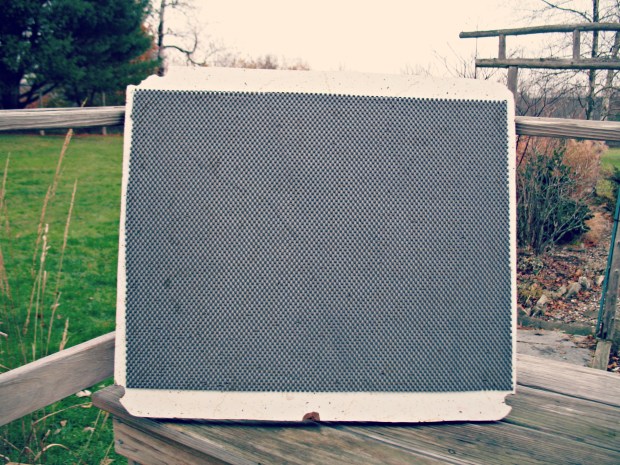 DIY Wobble Board For Your Dog | notes from a dog walker