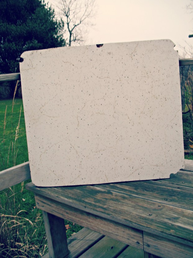 DIY Wobble Board For Your Dog | notes from a dog walker